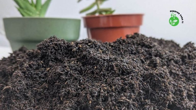 Humus de lombriz, abono orgánico para tu huerto - HuertosParaTi